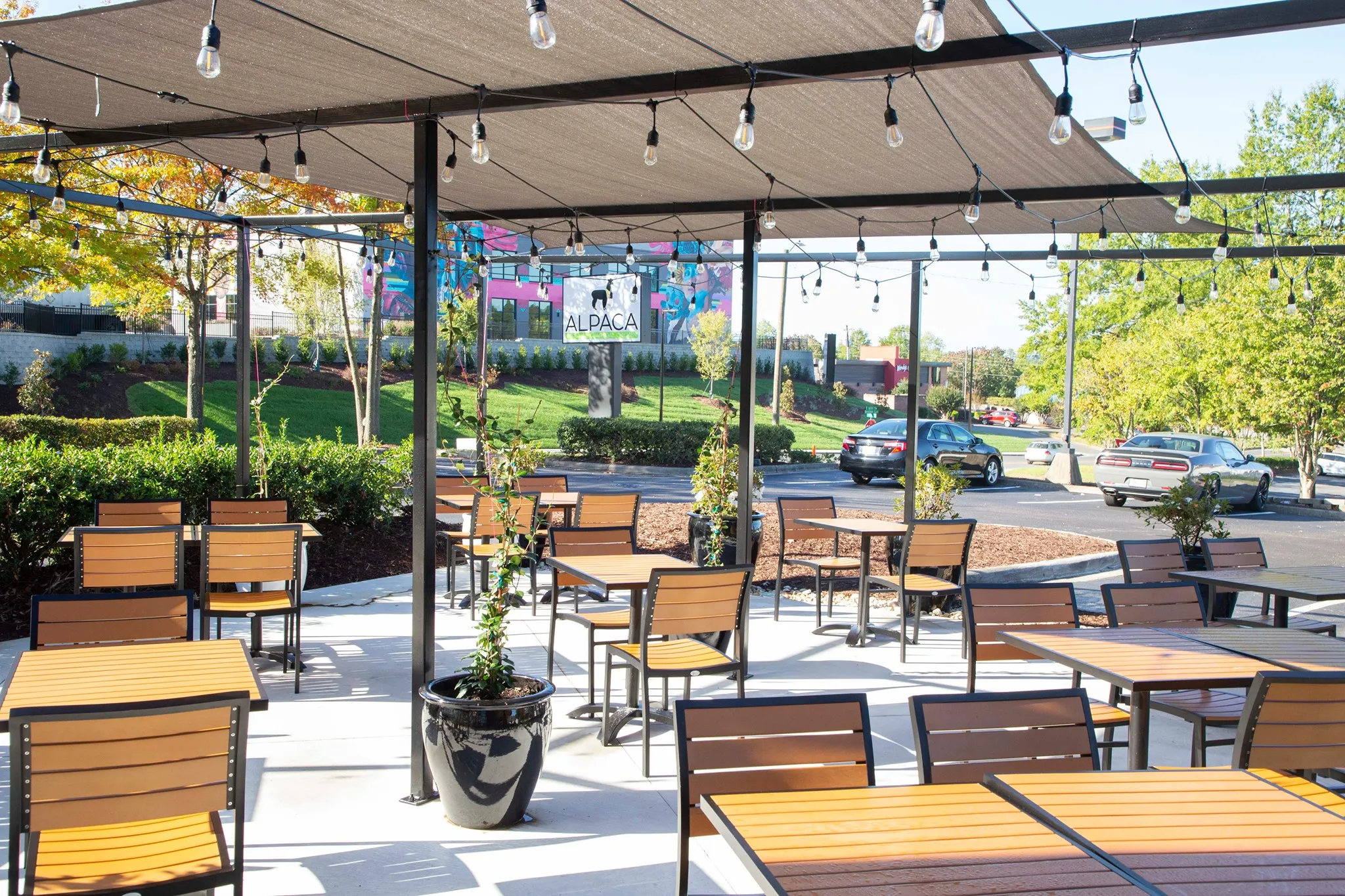 Find your Location - Alpaca Chicken